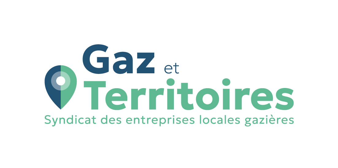 3 questions à Stéphane Andrieu, Délégué Général de Gaz et Territoires ...